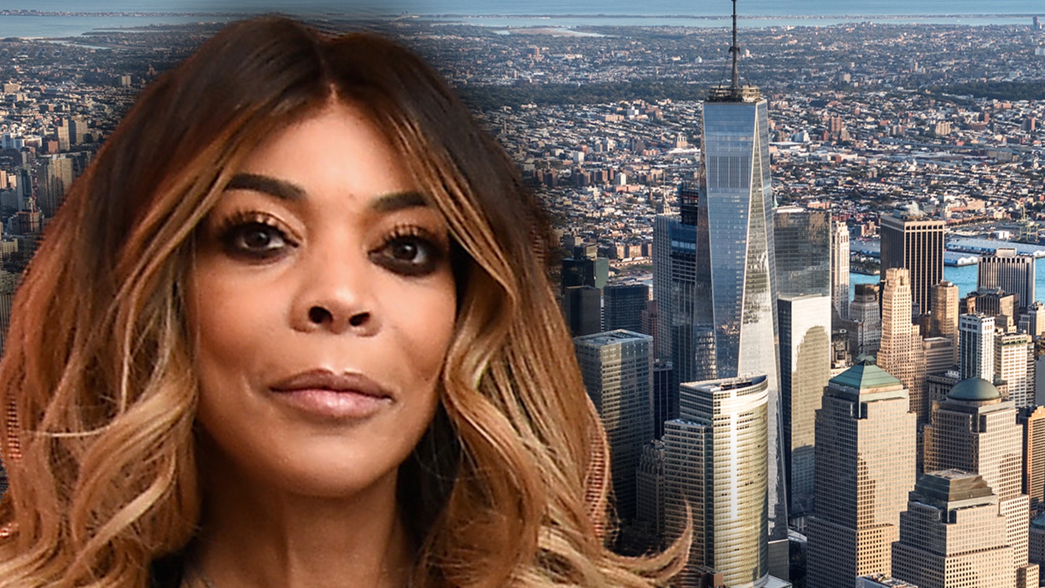 Wendy Williams Guardianship Controversy Spurs N.Y. Senator to Push for New Law - S.L.A.T.E.